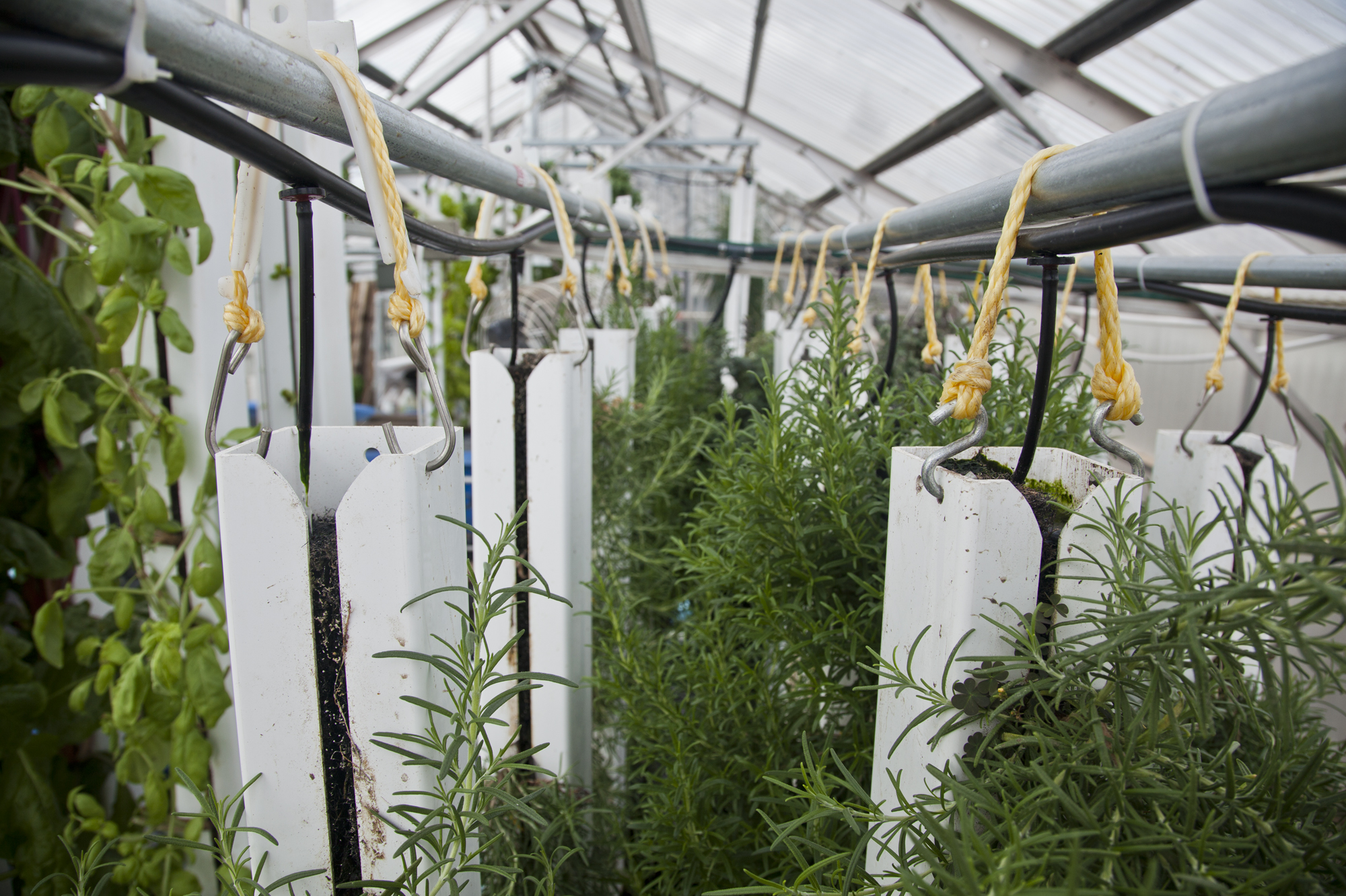 zipgrow – Blaž Germšek Blog website